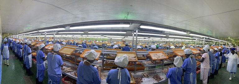 Australia Supports Childcare For SolTuna Workers To Improve ...