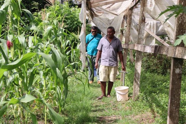 Revolutionising Agriculture In Solomon Islands — Solomon Business Magazine